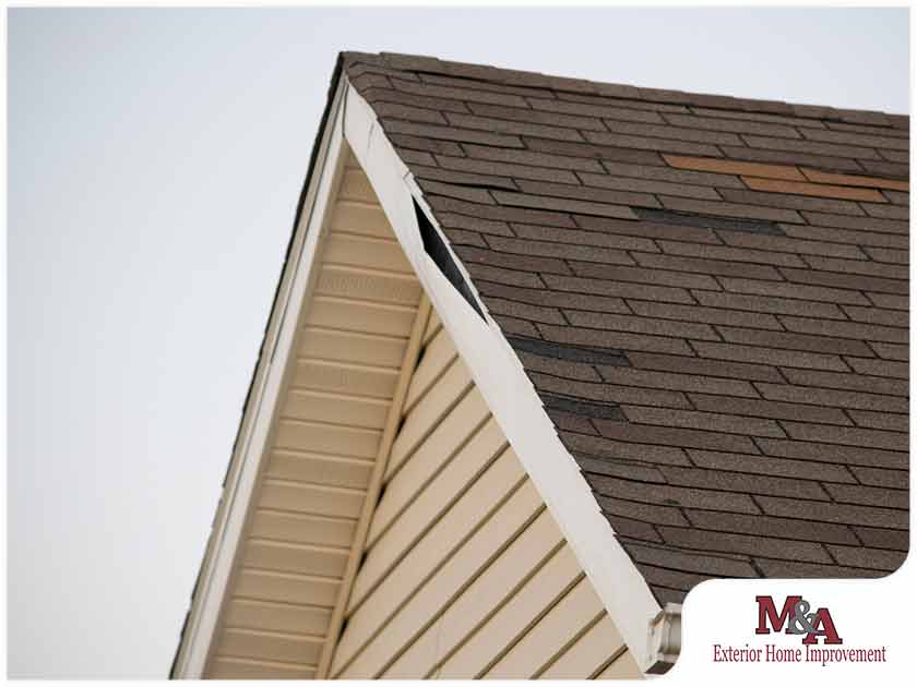 Never Ignore Soffit and Fascia Damage – Here’s Why