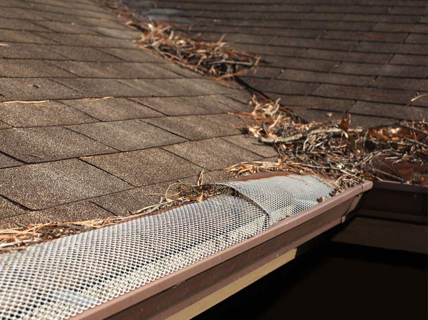Most Damaging Debris for Roofs